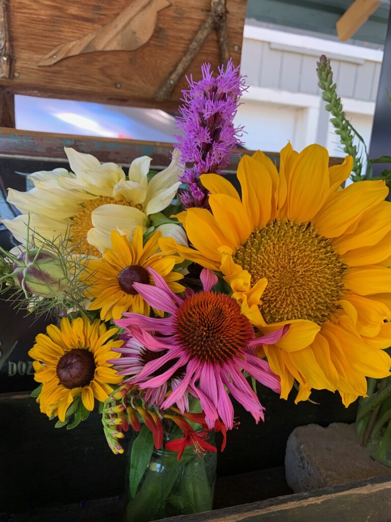 The Farm Stand - Happy Hen Gardens